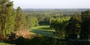 Feature Review Old Thorns Golf Club